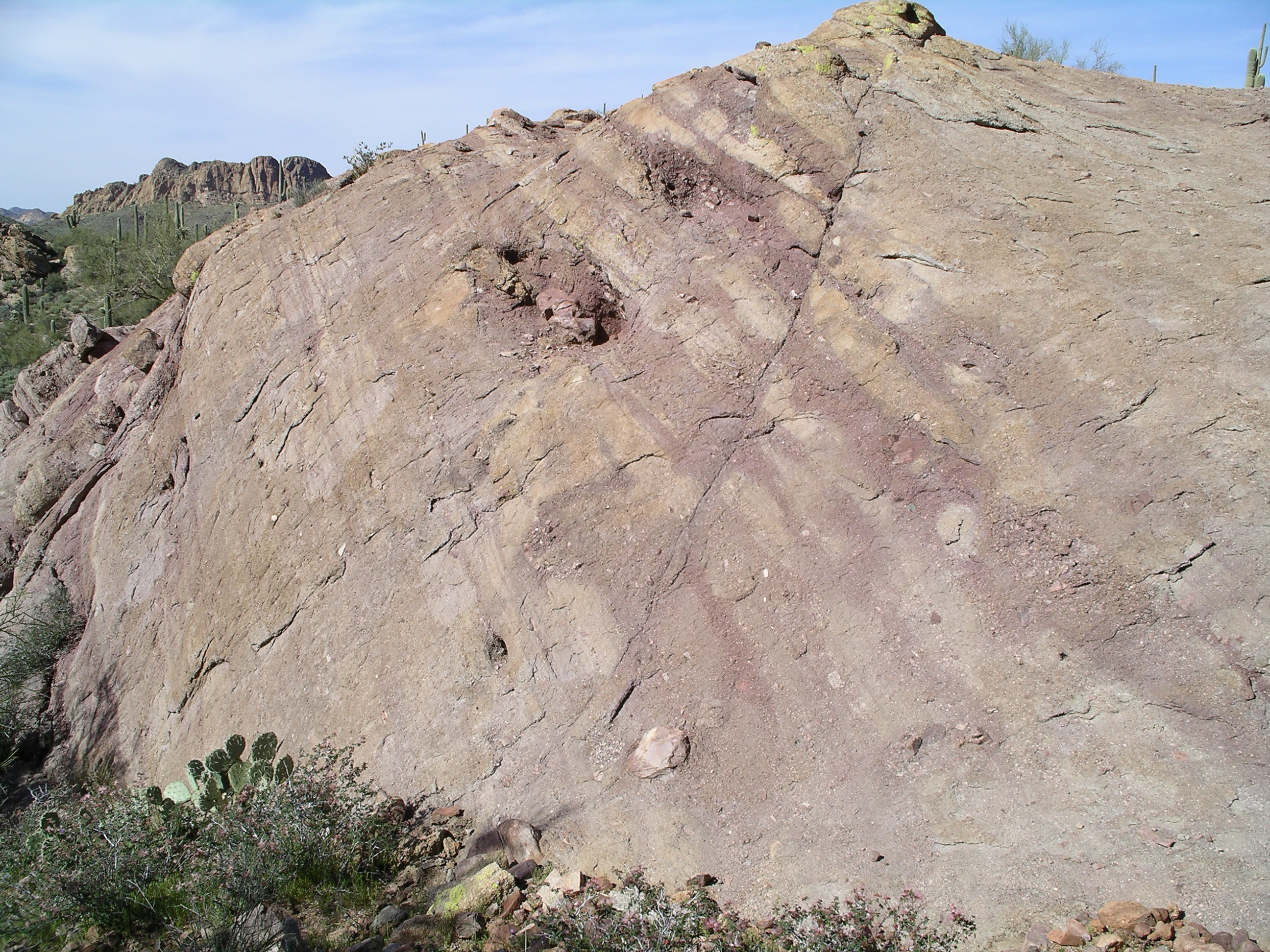 Rhyodacite - JungleKey.fr Image #50