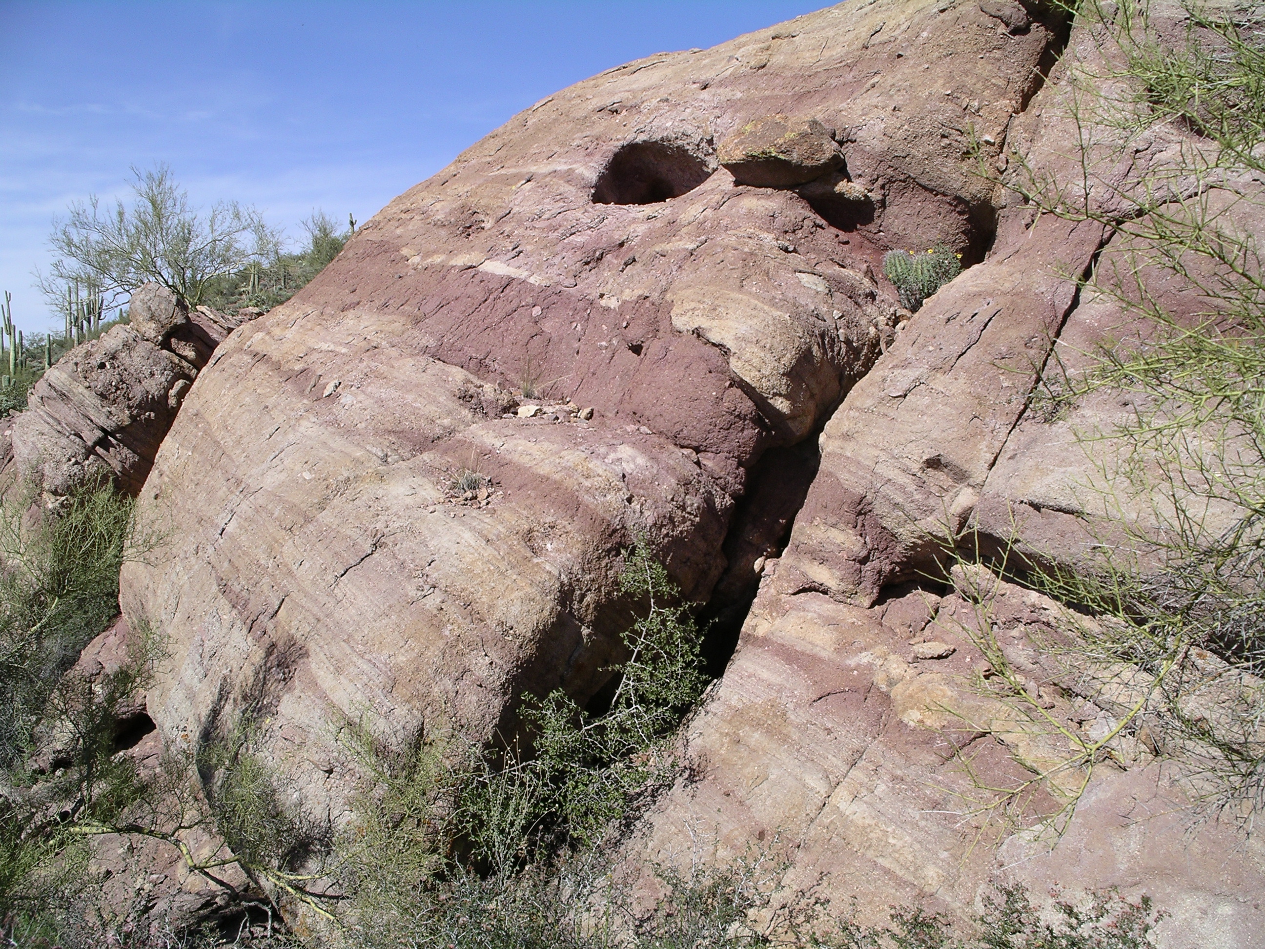 Rhyodacite - JungleKey.fr Image #50